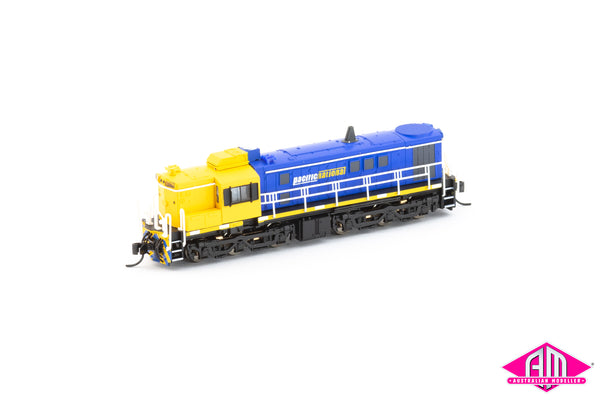 NSWGR 48 Class Locomotive - Pacific National (N Scale) – Australian ...