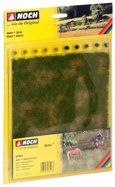 Noch 07403 - Nature - Summer Meadow – Australian Modeller