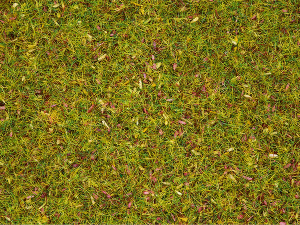 Noch 08330 - Scatter Grass - Flower Meadow (2.5mm) (20g) – Australian ...