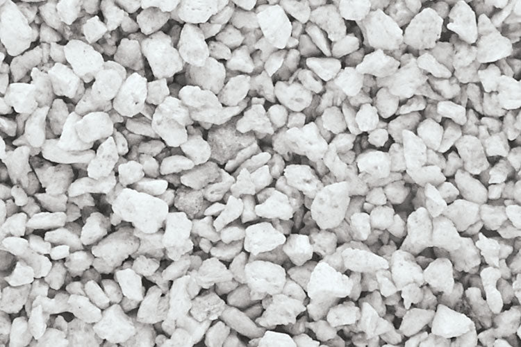 C1283 - Talus - Natural (Medium) – Australian Modeller