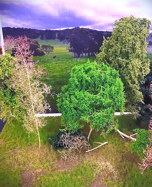 Ground Up Scenery - Natural Seafoam Trees - Super Fine Trees - Multipa ...