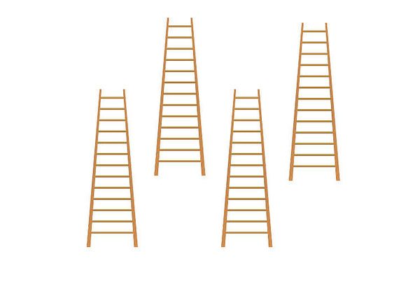 361-555 - Custom Ladders - 10' Lean-To Ladders (HO Scale) – Australian ...